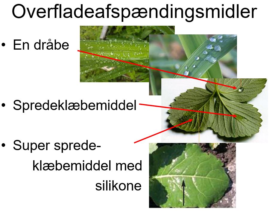 Optimer dine plantebeskyttelsesmidler med Support Super-ADD ...